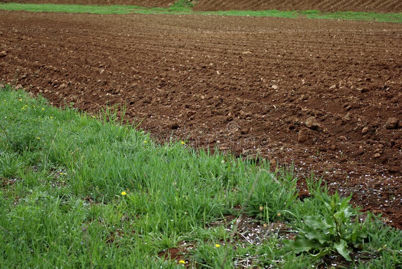 Arable Land stock photo. Image of nature, ground, pattern - 33195302