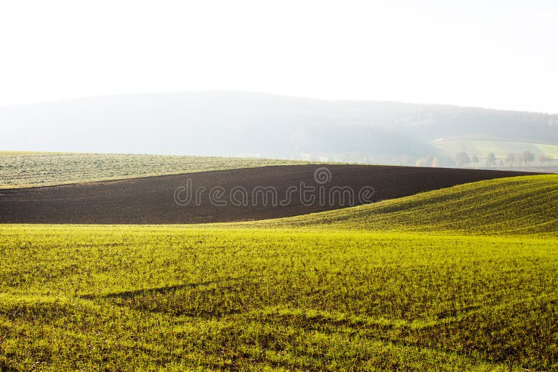 Arable Land in Morning Sunlight Stock Photo - Image of earth, green ...