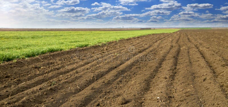 Arable land to the horizon stock photo. Image of outdoors - 62918126