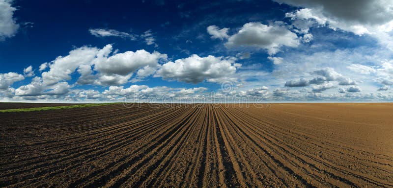 Arable Land and Field with Green Wheat Stock Photo - Image of farmland ...