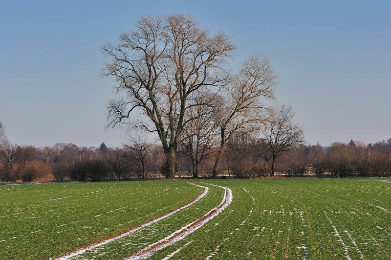 Arable landscape stock image. Image of agriculture, summer - 76837329
