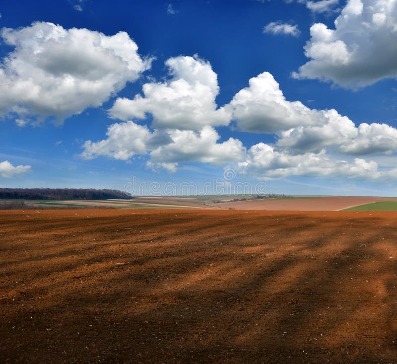 Arable Agrarian Landscape of the Springtime Stock Image - Image of ...