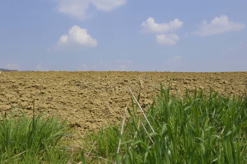 Arable Soil and Field in Spring Stock Photo - Image of land ...