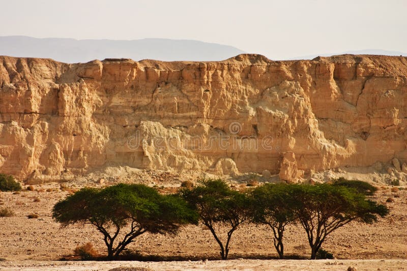 Arabska pustynia zdjęcie stock. Obraz złożonej z teren - 7651478