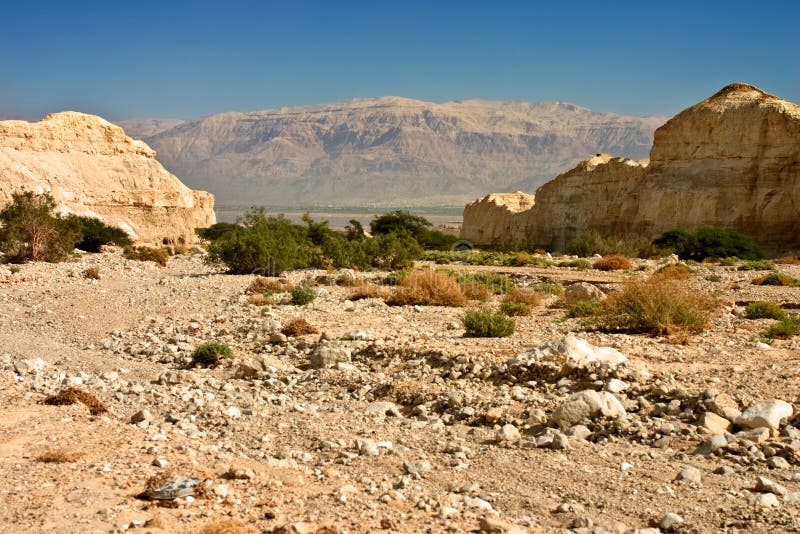 Arabska pustynia zdjęcie stock. Obraz złożonej z krajobraz - 8033072