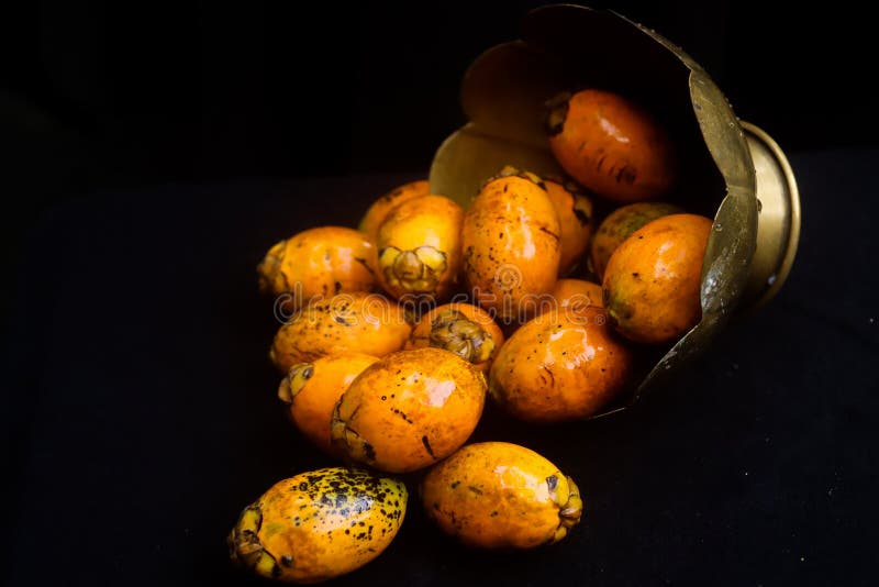 Arace nut kerala stock image. Image of quail, plant - 236657033