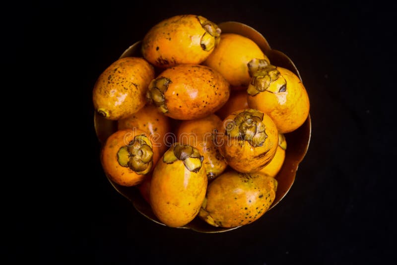 Arace Stock Photos - Free & Royalty-Free Stock Photos from Dreamstime