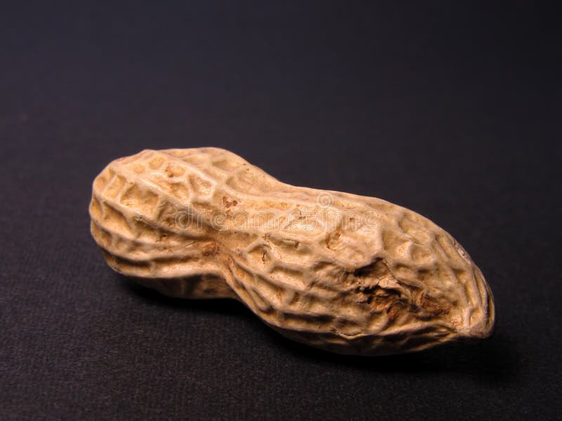 Arachide photo stock. Image du arachides, over, pierre - 1129762