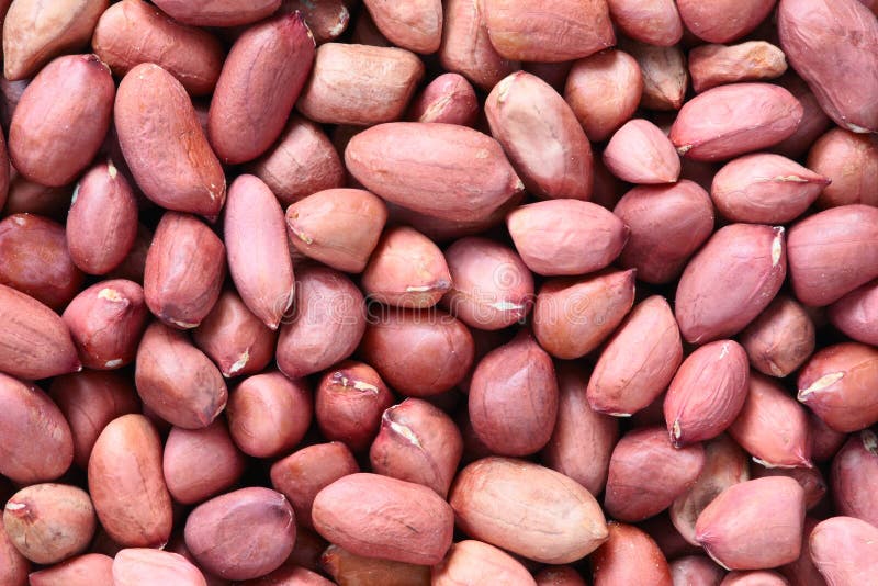 Arachide photo stock. Image du fermer, régime, coque - 17583002