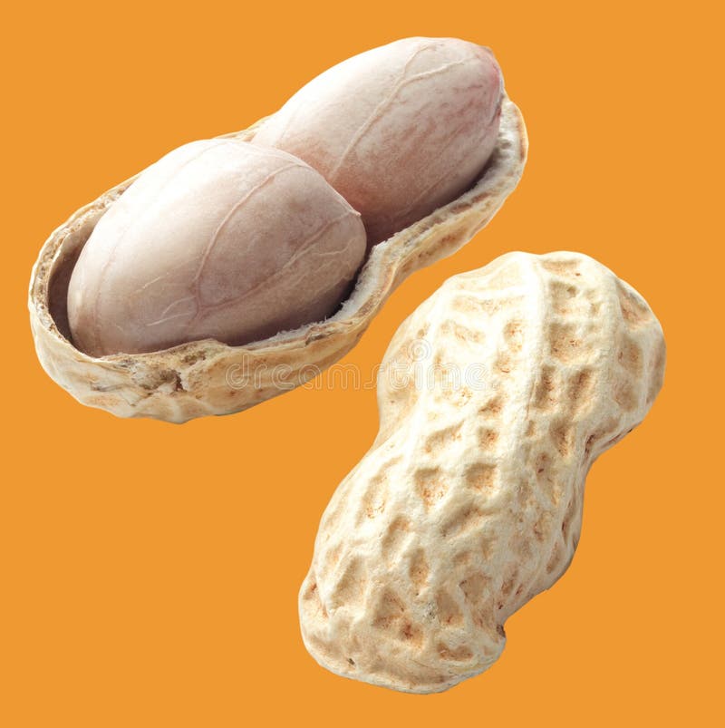Arachide image stock. Image du cosse, arachide, nourriture - 33703381