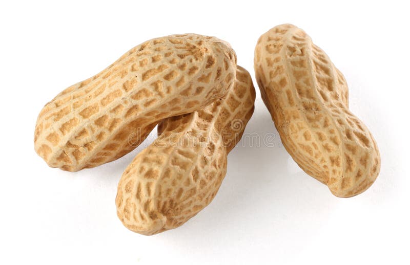 Arachide image stock. Image du arachide, nourriture, noix - 33703381