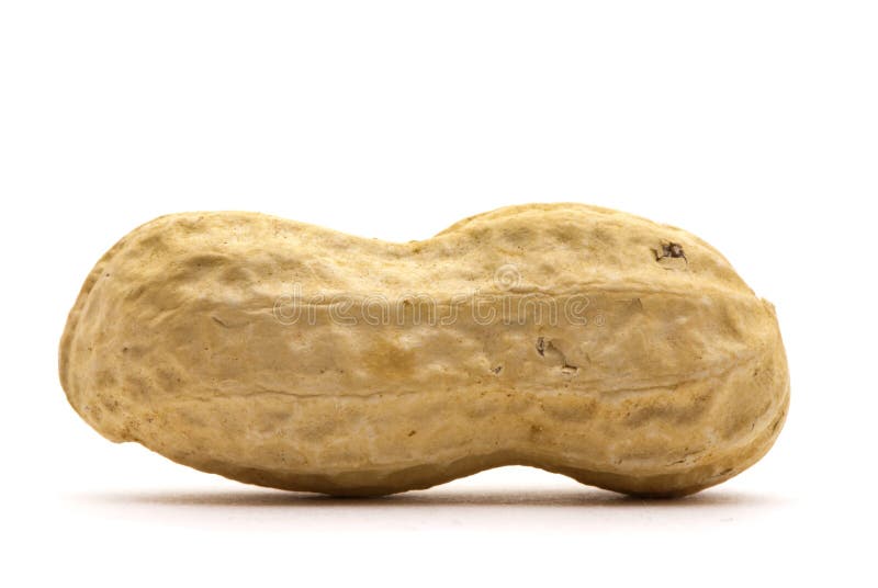 Arachide photo stock. Image du sain, nature, arachide - 7918334