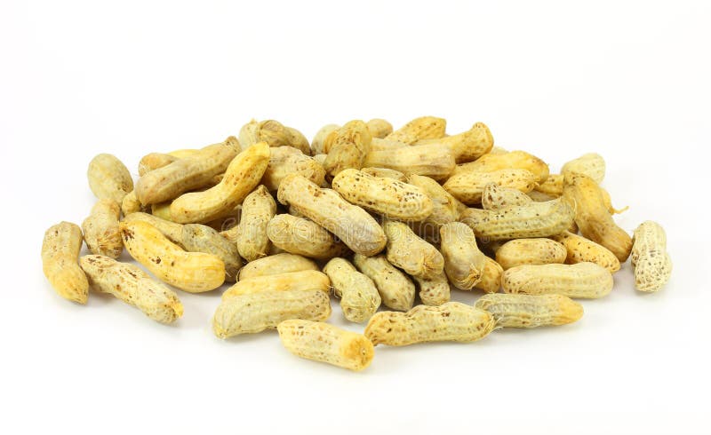 Arachide bouillie image stock. Image du délicieux, gourmet - 38604367
