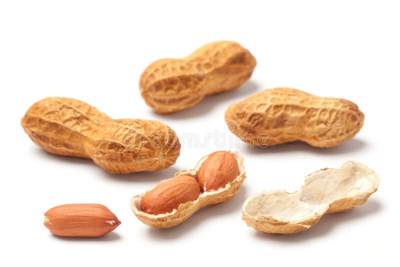 Arachide crue photo stock. Image du légumineuse, nutshell - 37668170