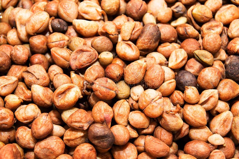 Arachide de pois bambara image stock. Image du fruits - 35343977