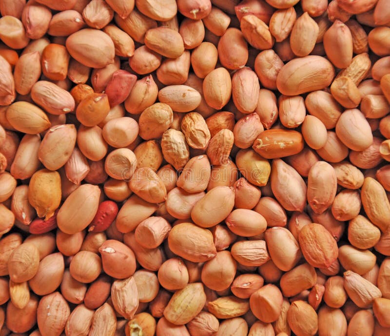 Arachideolie stock foto. Image of slipdeksel, voedsel - 29339930