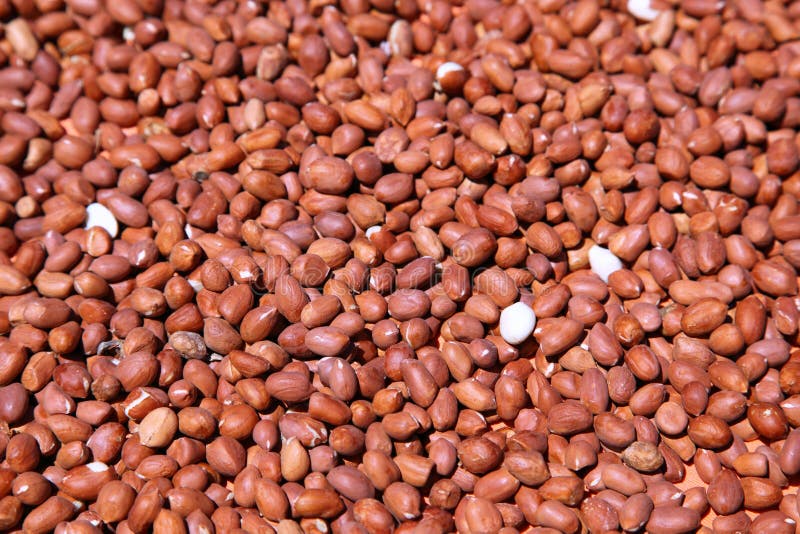 Arachides image stock. Image du rouge, santé, closeup - 10607807