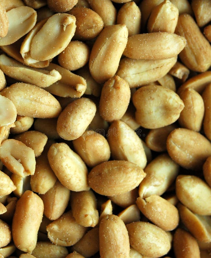 Arachides image stock. Image du arachides - 8850121
