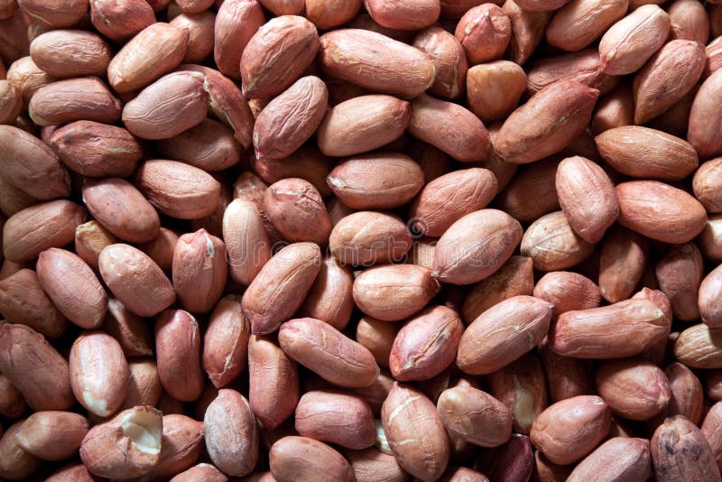 Arachides 2 photo stock. Image du pétrole, antioxydants - 14397168