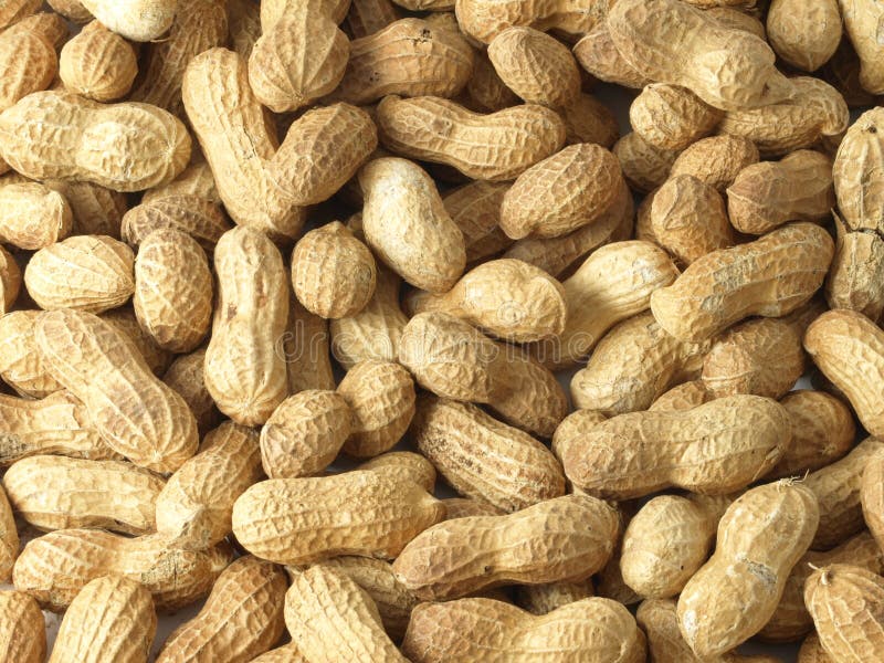 Fermez-vous Vers Le Haut Des Arachides Photo stock - Image du frais ...