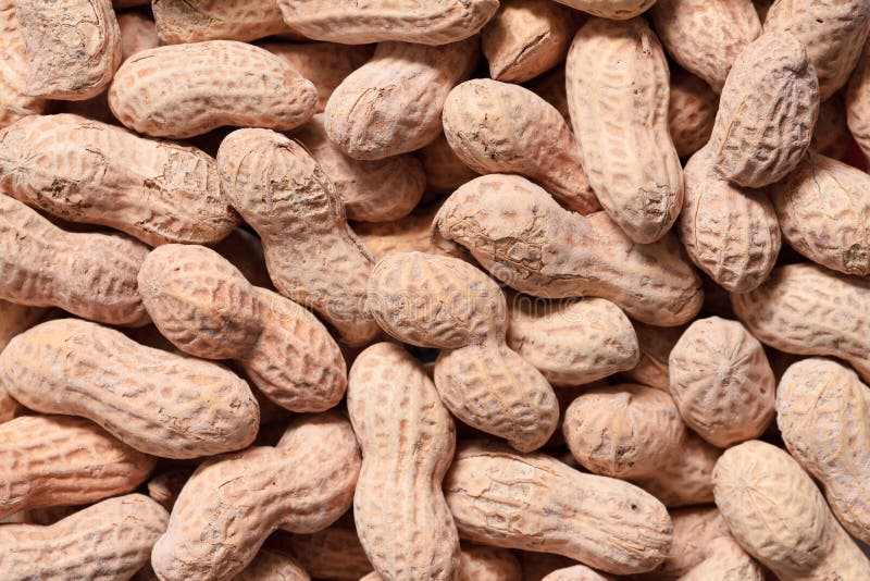 Arachidi fotografia stock. Immagine di arachidi, allergene - 17817966