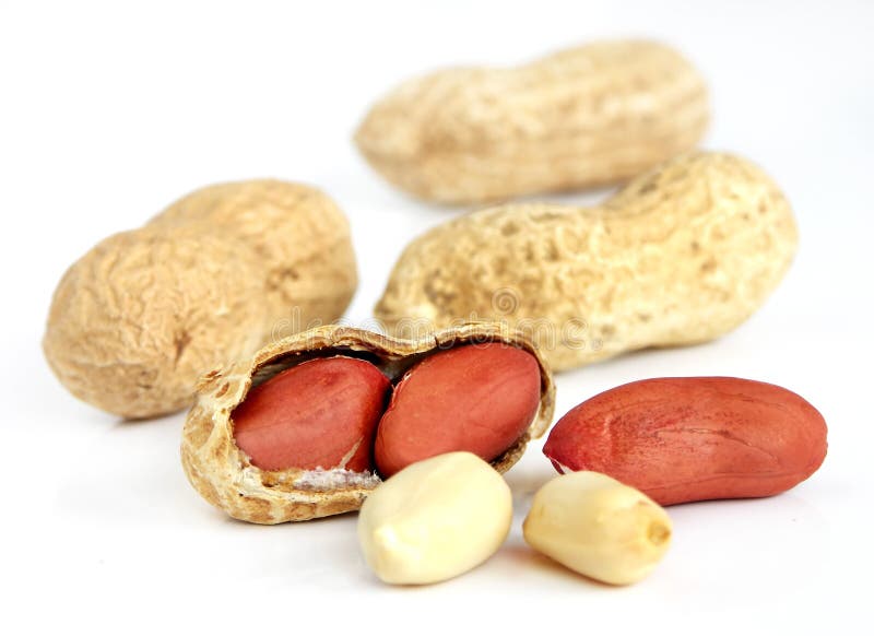 Arachidi immagine stock. Immagine di olio, seme, grezzo - 4141689