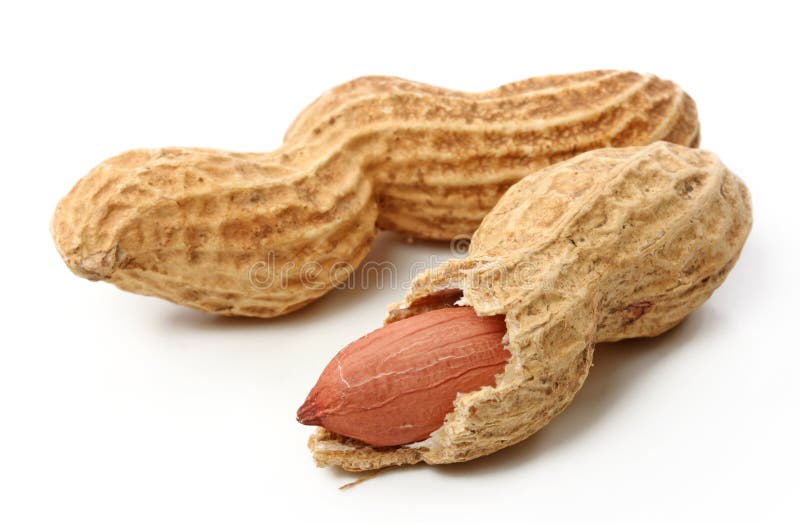 Arachidi immagine stock. Immagine di beige, nave, consumo - 6544121