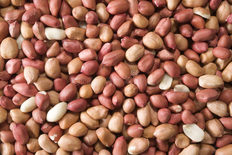 Grandi Arachidi Sgusciate Crude Su Fondo Bianco Fotografia Stock ...
