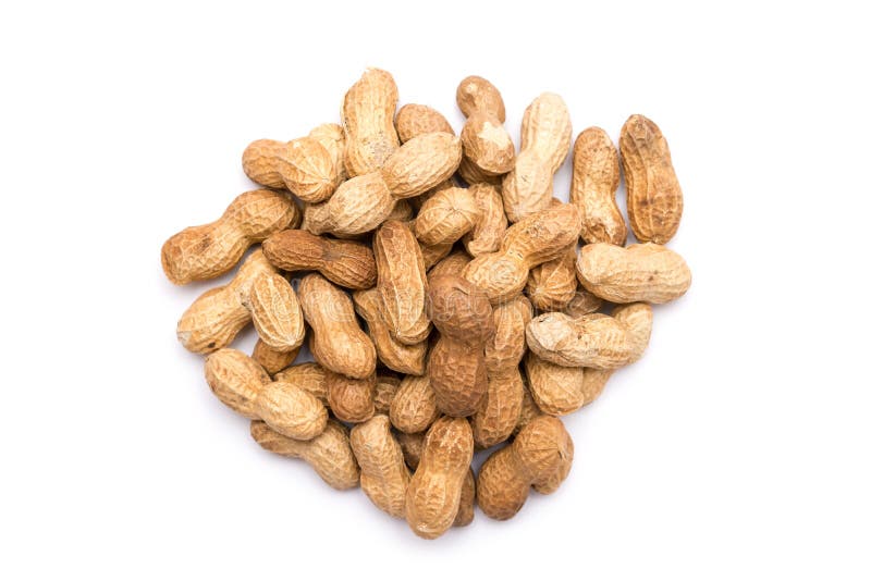 Arachidi in Shell Isolated immagine stock. Immagine di grezzo - 40139597