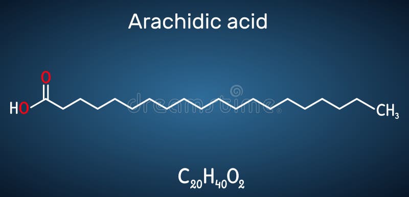 Arachidic Acid, Eicosanoic, Icosanoic Acid Molecule. it is Saturated ...