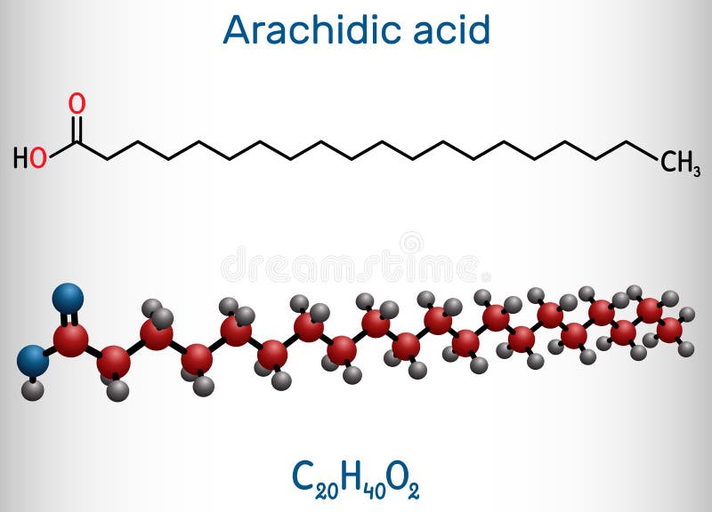 Arachidic Acid, Eicosanoic, Icosanoic Acid Molecule. it is Saturated ...
