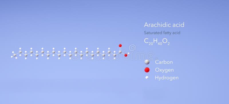 Arachidic Acid Molecule, Molecular Structures, Saturated Fatty Acid, 3d ...
