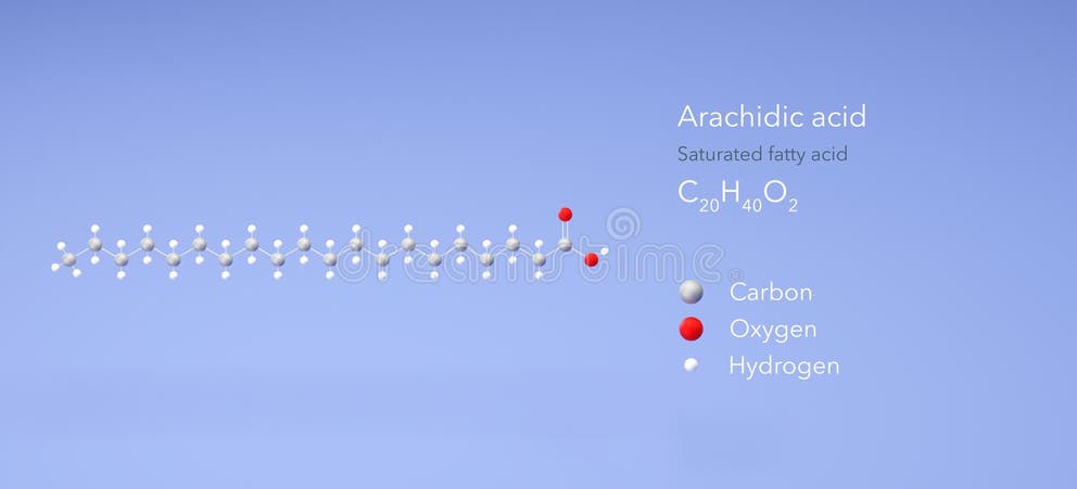 Arachidic Acid Molecule, Molecular Structures, Saturated Fatty Acid, 3d ...