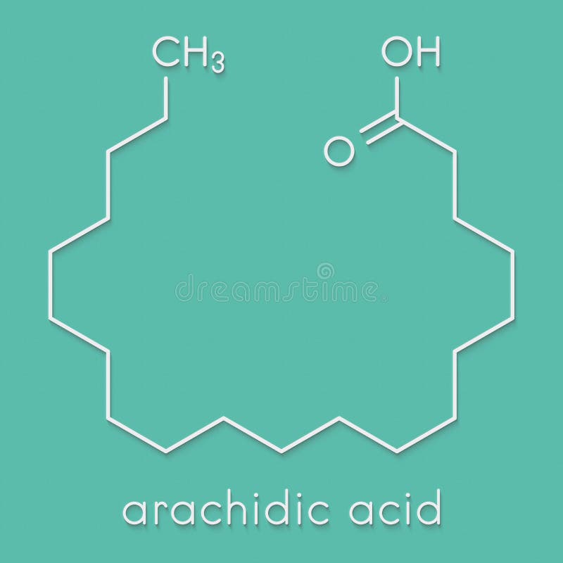 Arachidic Eicosanoic Acid Molecule. Saturated Fatty Acid. Skeletal ...