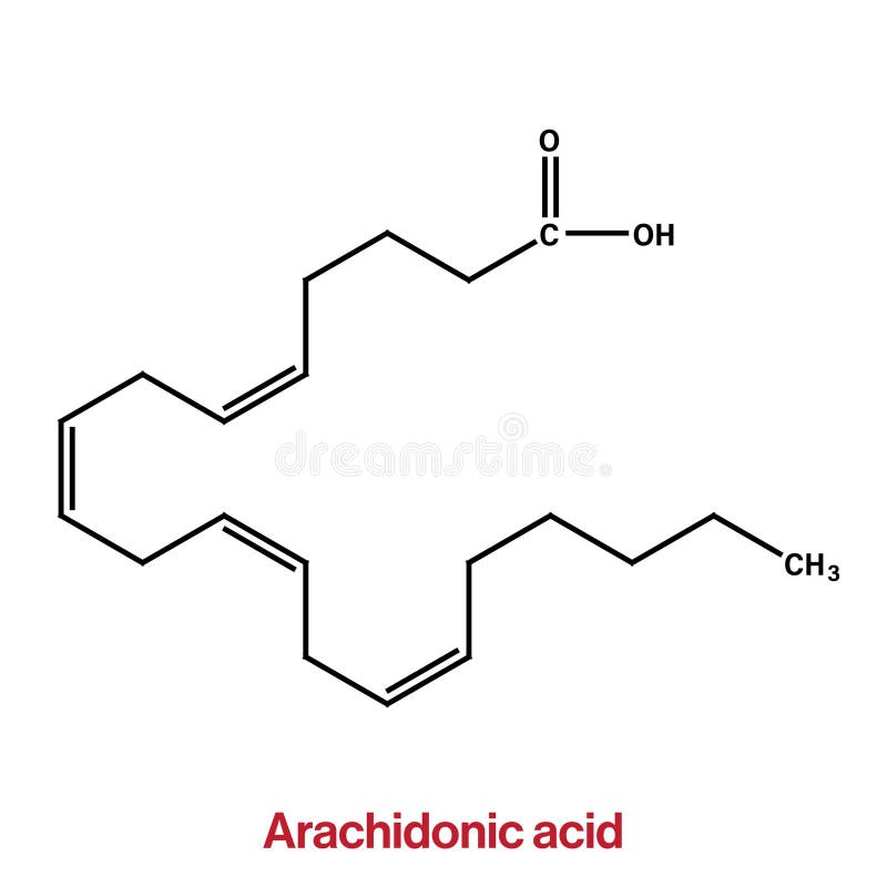 Arachidonic Acid Chemical Structure Arachidonic Acid An Overview