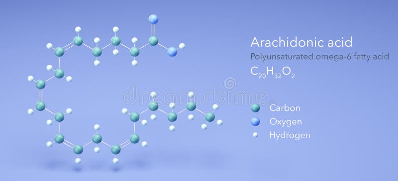 Arachidonic Acid, Molecular Structures, Omega-6, Ball and Stick Model ...
