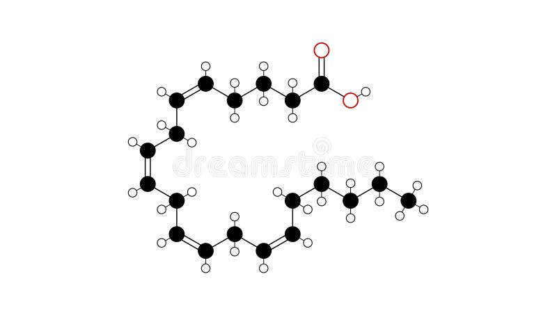 Arachidonic Acid Molecule, Structural Chemical Formula, Ball-and-stick ...