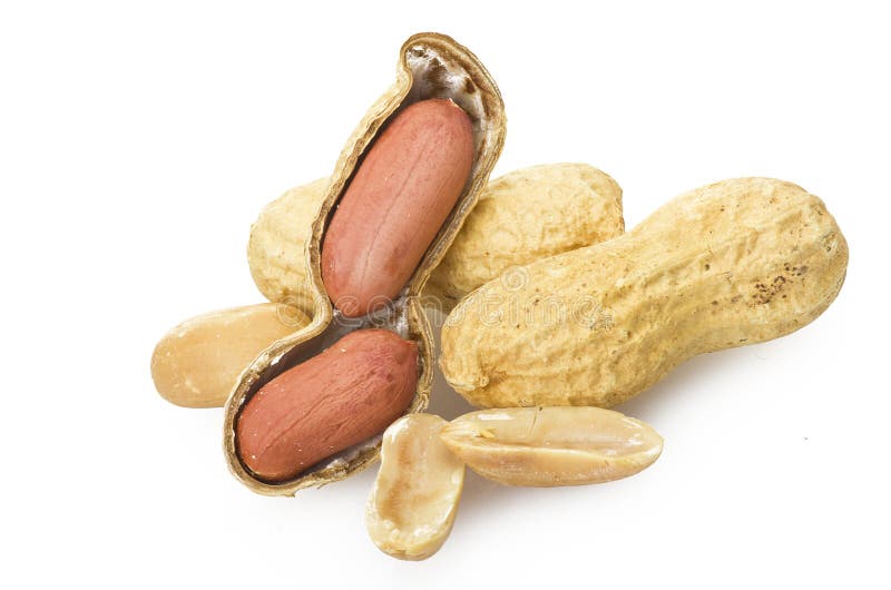 Arachidy zdjęcie stock. Obraz złożonej z składnik, jedzenie - 30641364