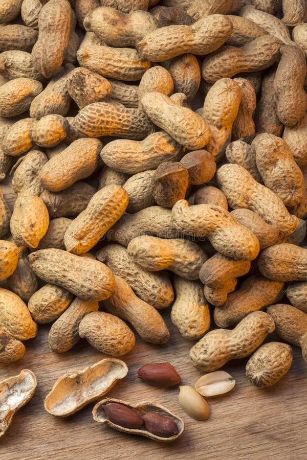 Arachidy zdjęcie stock. Obraz złożonej z groundnut, arachidy - 39351556