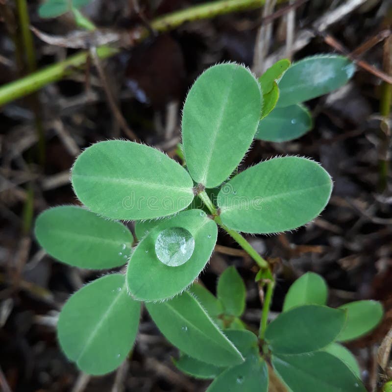 Handro Stock Photos - Free & Royalty-Free Stock Photos from Dreamstime