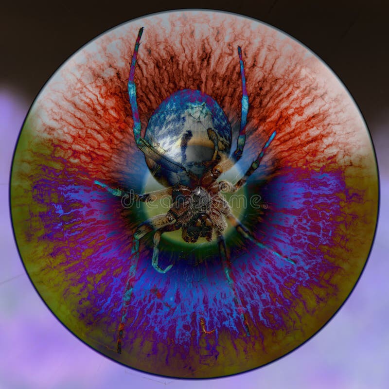 Arachnophobia Spider in Your Sight Stock Illustration - Illustration of ...