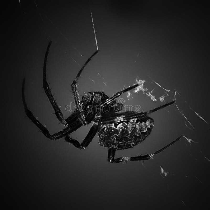 Aracnophobia monochrome stock illustration. Illustration of limb ...