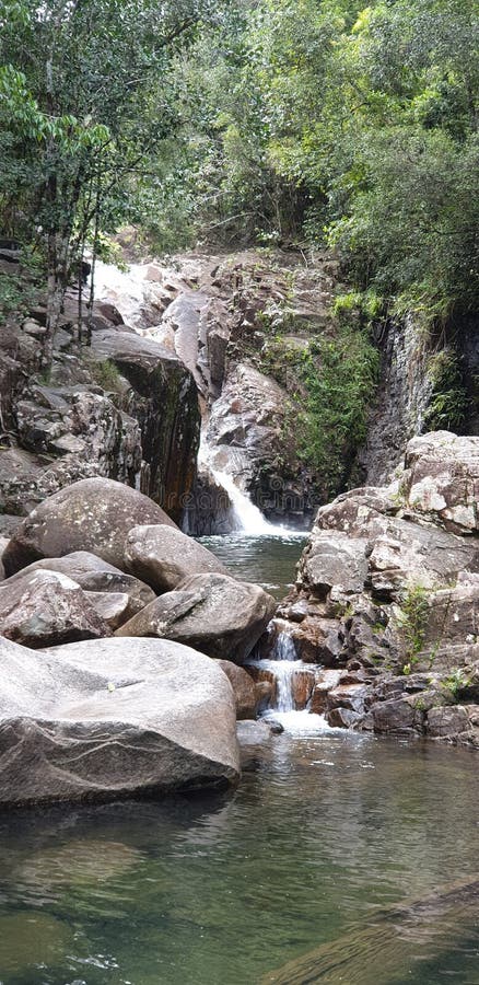 Finch Hatton Walks stock image. Image of finch, walks - 183514361