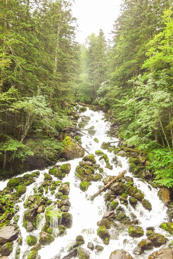 Aran Valley in the Catalan Pyrenees, Spain Stock Photo - Image of ...