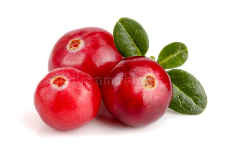 Arando Com a Folha Isolada No Macro Branco Do Close Up Do Fundo Foto de ...