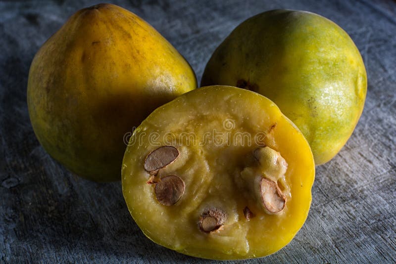 Primer De La Fruta Rara Del Araza Del área Del Amazonas De Ecuador Foto ...