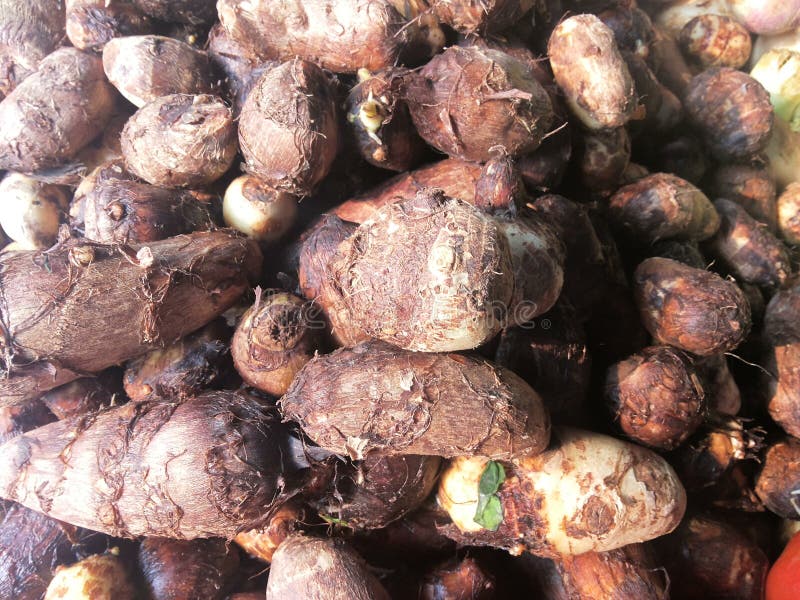 Arbi vegetable stock photo. Image of healthy, plastic - 59912166