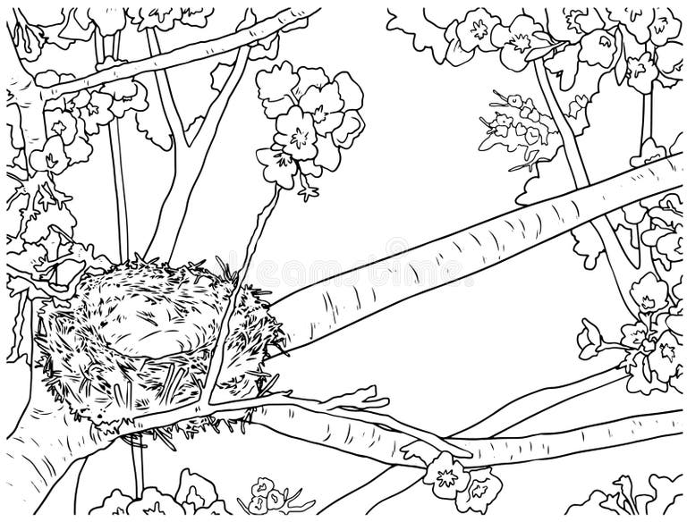 Black and White Vector Coloring Page of a Tree and Nest Stock ...
