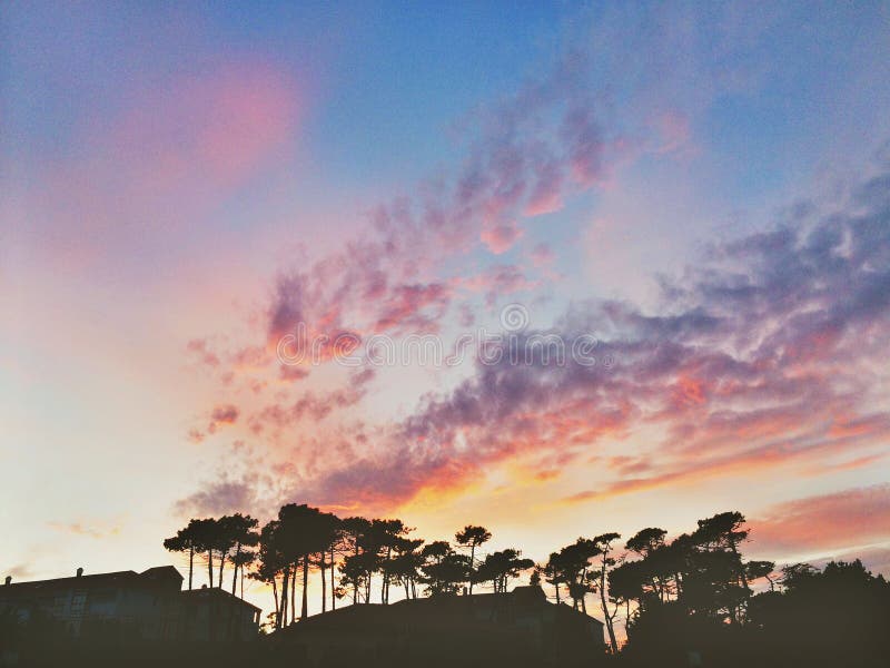 Arboles stock photo. Image of nature, trees, sunset, colors - 71117890