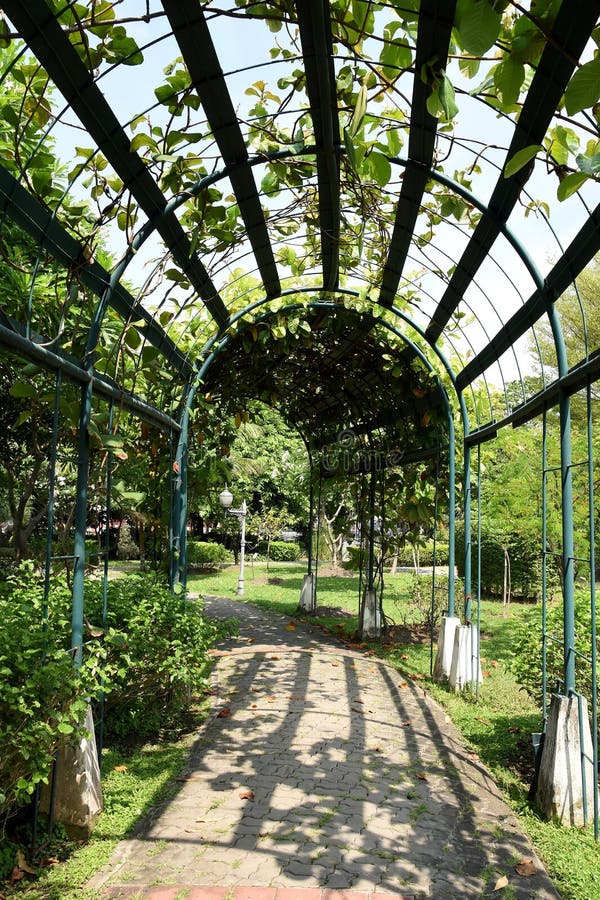 Arbor with arbored walk stock image. Image of construction - 77061567